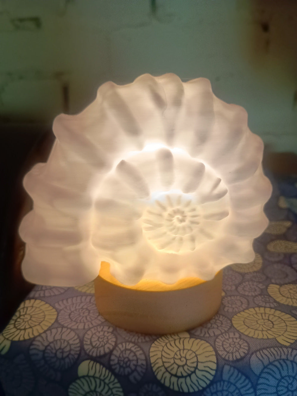 Ammonite Lamp - LED Fossil Light with Chamber Design – Devon Fox
