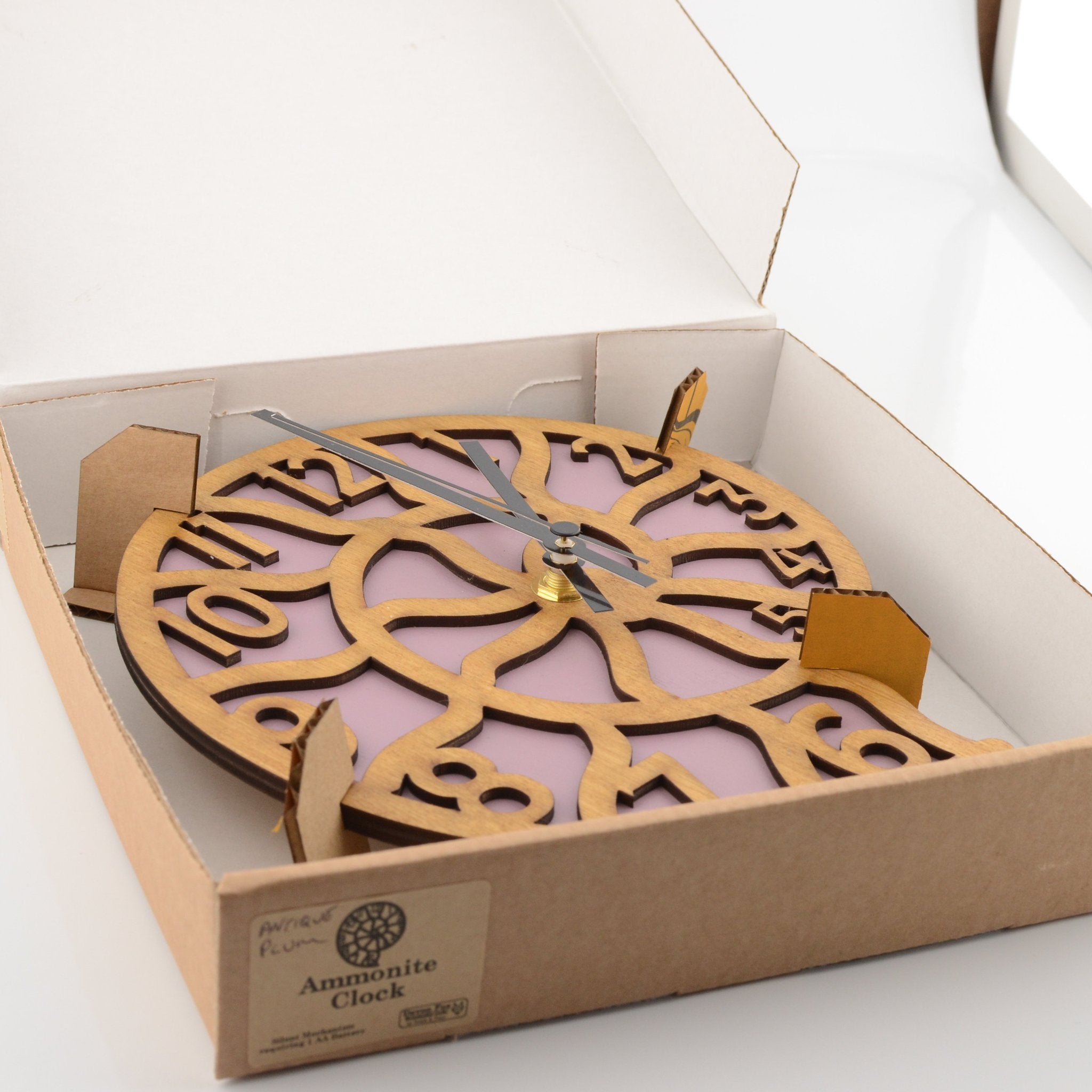 Ammonite Wall Clock – Devon Fox
